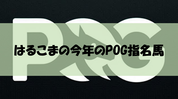 【POG2025-2026注目馬を解説】ユマハム｜ポテンシャルと魅力を徹底分析！｜Umaizm Times